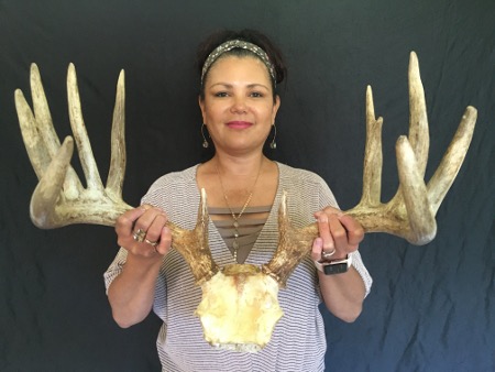 Whitetail Racks, Etc.